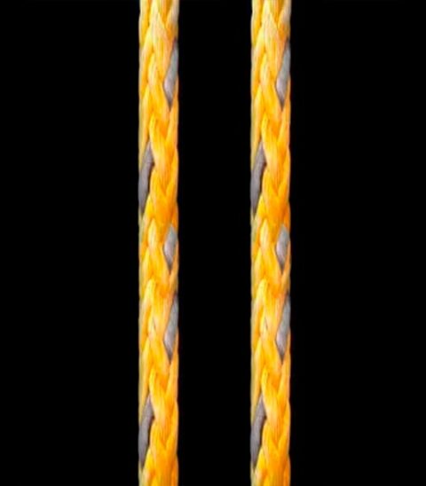 HMPE Gold - Exsilpty